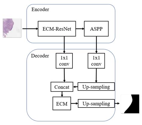 The Architecture Of The Ecm Equipped Deeplabv3 The Backbone Is The