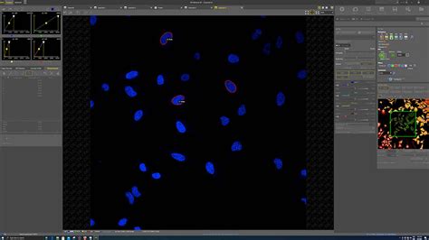 AX AX R with NSPARC 공초점 및 다광자 현미경 현미경 제품 니콘인스트루먼트코리아