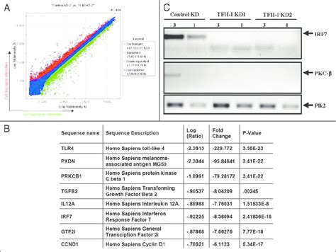 Gene Expression Profiling To Identify S G 2 M Specific And Other