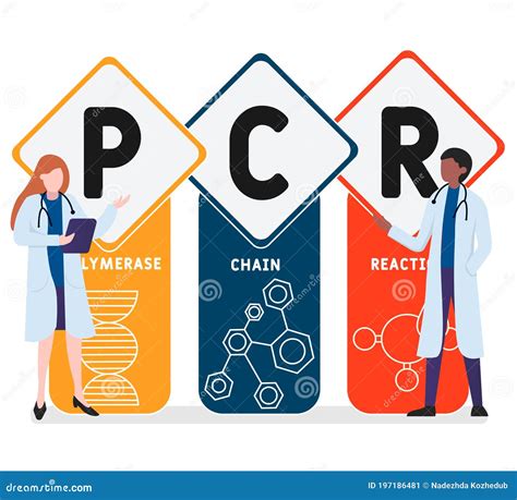 Polymerase Chain Reaction PCR Cycle Diagram Illustration Cartoon Vector CartoonDealer