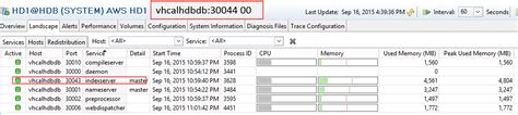 Hana Monitoring Multi Tenancy