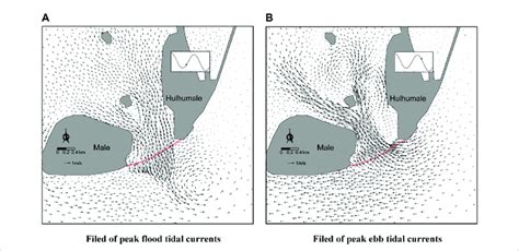 field of tidal currents a filed of peak flood tidal currents b