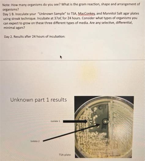 Solved Biol 260 Unknowns Lab Part 1 Data Unknown Sample