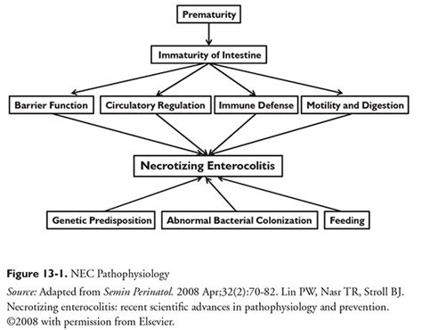 Necrotizing Enterocolitis Pathophysiology