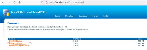 freeFTPd windows 使用 枫叶落