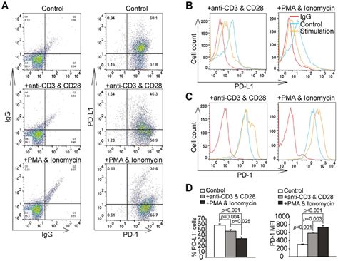 Expression Regulation And Function Of Pd 1 And Pd L1 In T Lymphoma Cells Pmc