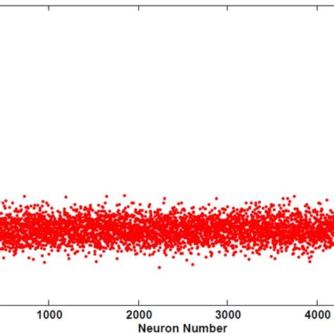 Number Of Excitatory And Inhibitory Synapses Connections For Each
