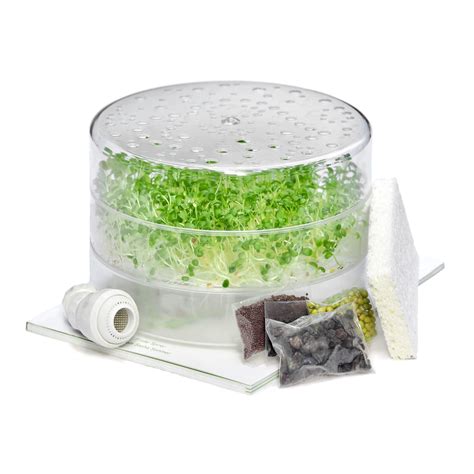 Start Kits And Grow Kits To Grow Sprouts And Microgreens In Your Kitchen