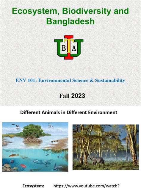 Lecture 6 And 7 Ecosystem And Biodiversity Pdf Ecosystem Biodiversity