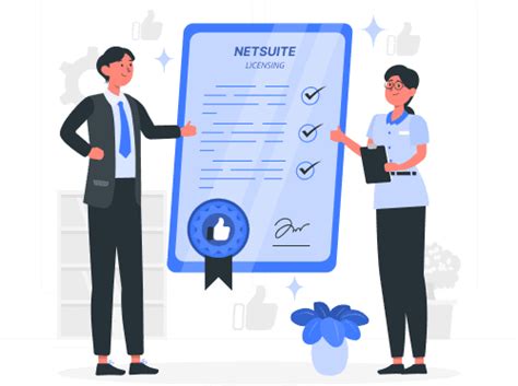 Best Netsuite Erp Licensing Provider Emphorasoft