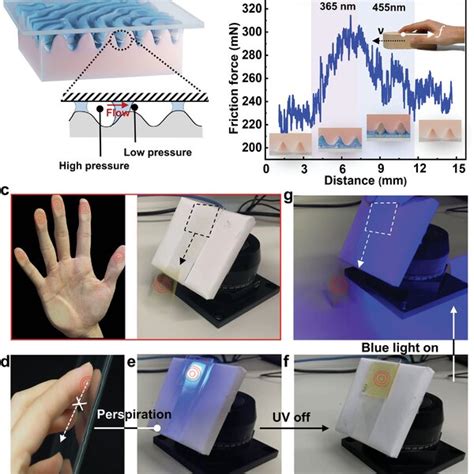 Formation Of Fingerprint Topography On The Artificial Fingertips A Download Scientific
