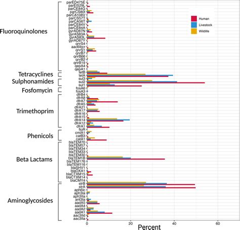 Prevalence Of 56 Amr Genes And 13 Amr Conferring Point Mutations In 311 Download Scientific