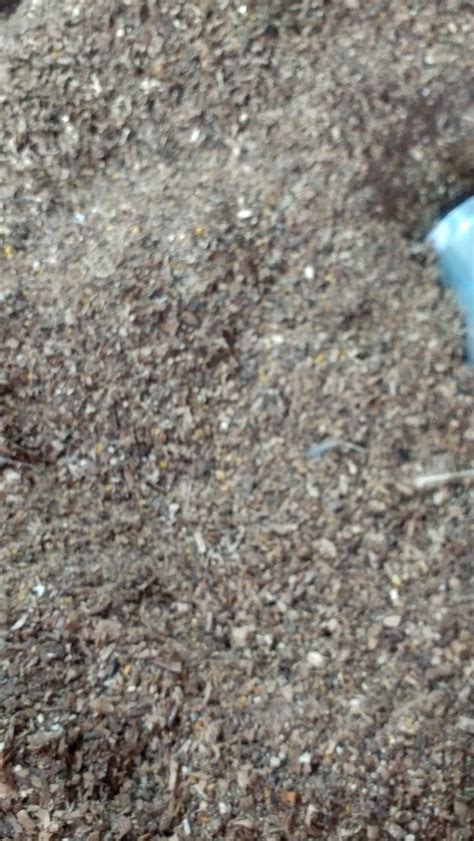 Esterco De Galinha Caipira E Codorna 10 Kg Curtido Peneirado