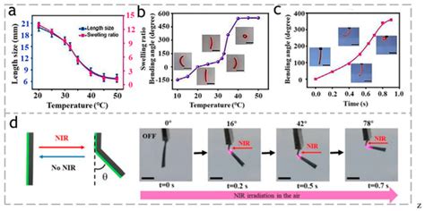 Preparation And Application Of Polymer Nanocomposites