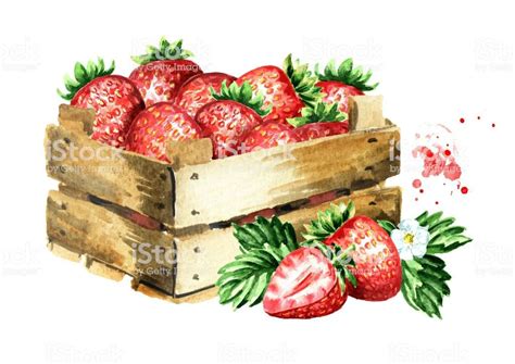 Watercolor And Pen Pinterestbrandy Ross