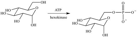Illustrated Glossary Of Organic Chemistry Esterification