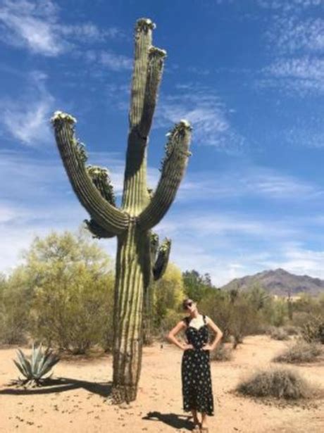 Taylor Swift Celebrates The Start Of Her Tour With A Giant Cactus