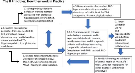Schematic Diagram Example In Chemistry Circuit Diagram