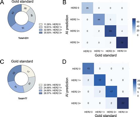 Performance Of A Her2 Testing Algorithm Tailored For Urothelial Bladder