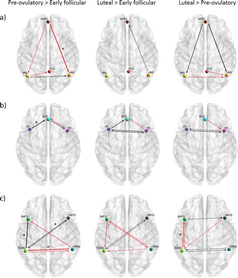 Cycle Phase Differences In Within Network Effective Connectivity A