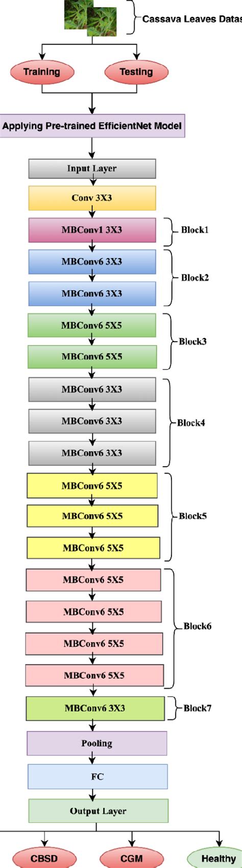 Figure 2 From Classification Of Cassava Leaf Diseases Using A Pre Trained Efficientnet Model