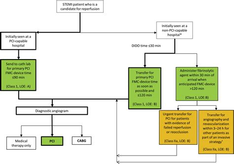 Update On The Guidelines For The Management Of St Elevation Myocardial