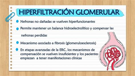 Ppt Insuficiencia Renal CrÓnica Powerpoint Presentation Free