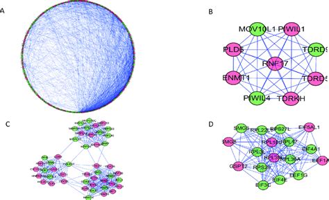 Ppi Network And Subnet Analysis A Protein Protein Interaction Download Scientific Diagram