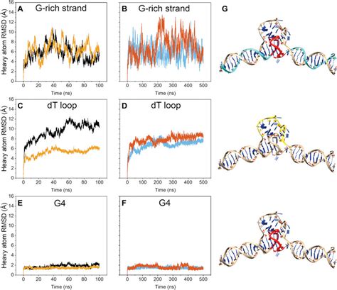 Molecular Dynamics Of The Class 1 Em Refined Dgd Model Data In A