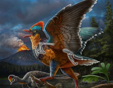 Scientists Discover Oldest Bird Fossils Rewrite History Of Avian Evolution