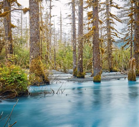 Expedition Cruise To Alaska True Nature And Culture In Summers