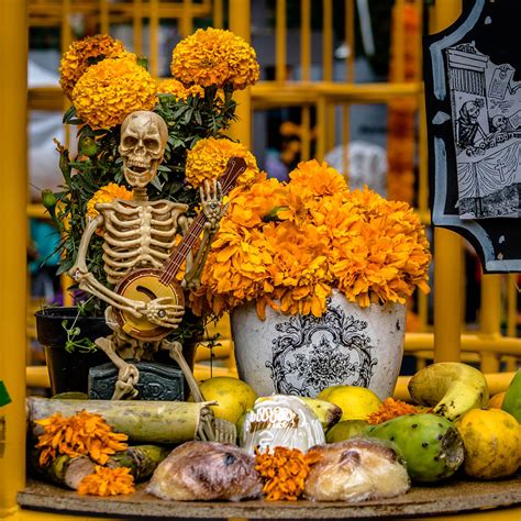 Marigolds Day Of The Dead