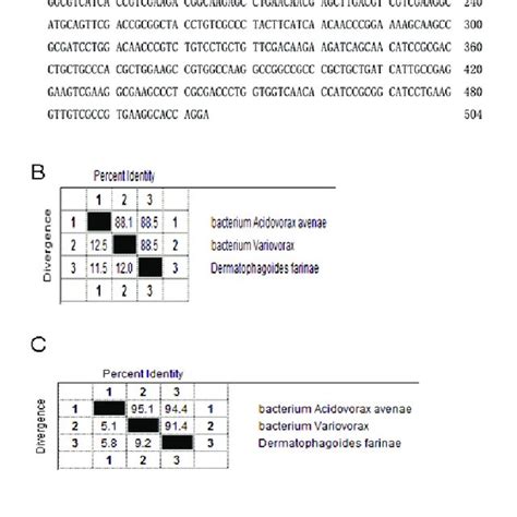 Sequencing Result Nucleic Acid Sequence Alignments Aa Sequence