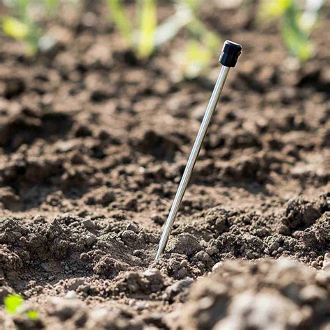 17 Genius DIY Soil Testing Ideas Every Gardener Should Know