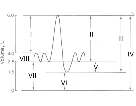 Spirometry Chart Quiz