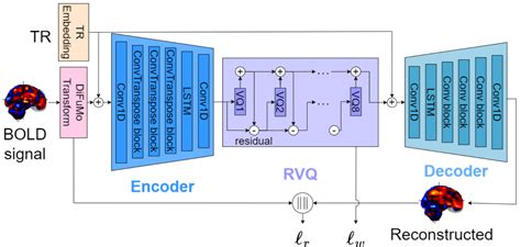 논문 리뷰 Braincodec Neural Fmri Codec For The Decoding Of Cognitive