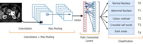 Convolutional Neural Networks Architecture Blocks Download Scientific Diagram