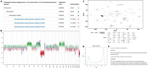 Dna Methylation Profiling Of Lipomatous Meningioma A Dkfz Classifier Download Scientific