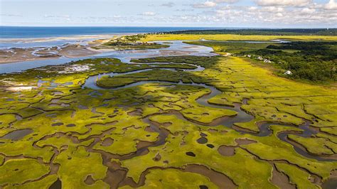 Aerial View Of Winding Waterways Carve … License Image 14652322