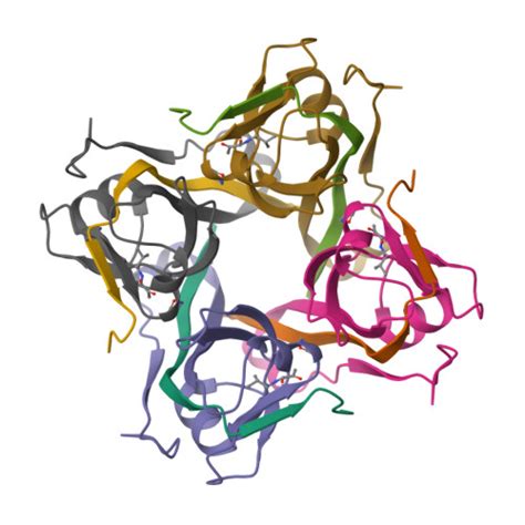 Rcsb Pdb 6oyy Crystal Structure Of Mtb Aspartate Decarboxylase