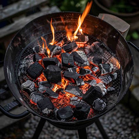 Charcoal Grill Fire Kamado Nederland Char Griller Portable Charcoal