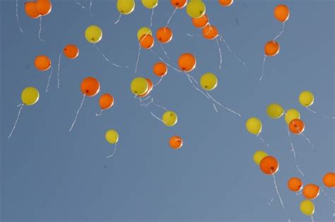 Microsoft Excel Api Access And Analyze Spreadsheet Data