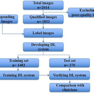 Flow Chart Showing The AI System Development And Evaluation Based On Download Scientific