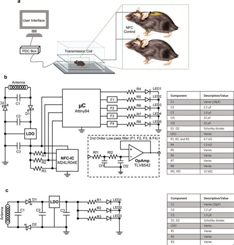 Wireless Multilateral Devices For Optogenetic Studies Of Individual And