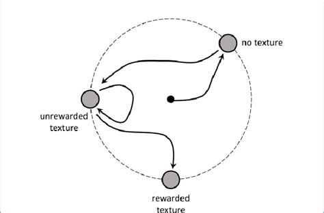 Active Tactile Exploration Using A Bmbi Odoherty Et Al 2011 In Download Scientific Diagram