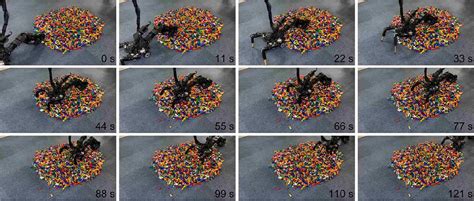 Figure 10 From A Mobile Quad Arm Robot Arms Wheeled Legged Tripedal Locomotion And Quad Arm