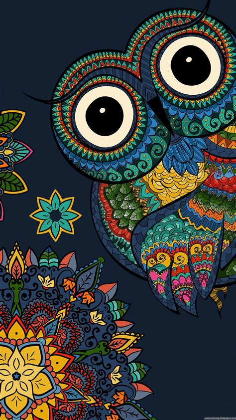 Cartoon Owl Wallpapers Top Free Cartoon Owl Backgrounds Wallpaperaccess