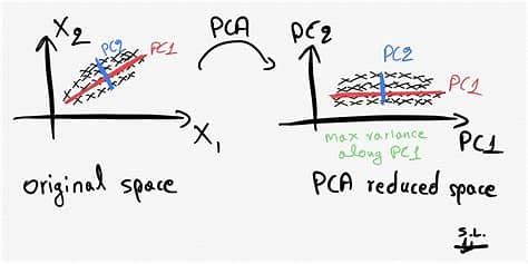 Understanding PCA And T SNE A Comparative Analysis For Dimensionality Reduction