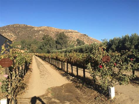 Valle De Guadalupe Baja Winery Tours Baja California Tour Company