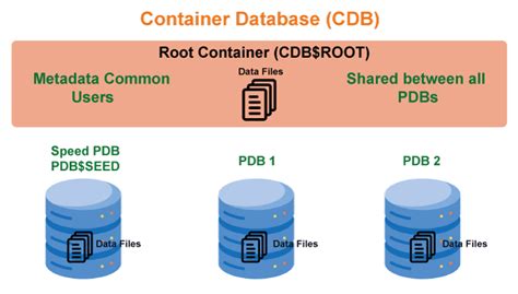 Oracle Multitenant Architecture Tpoint Tech